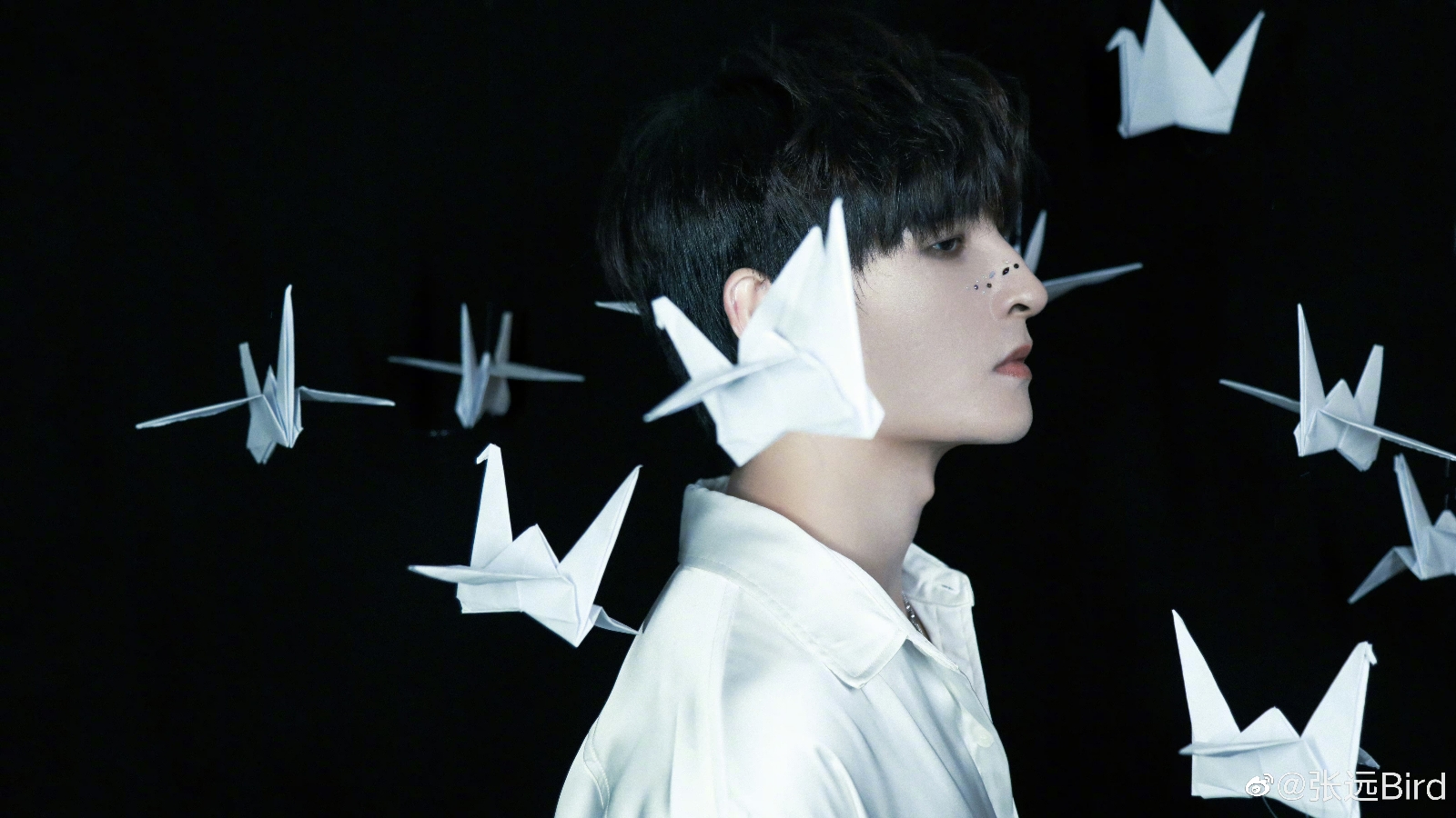 张远 - 高清图片，堆糖，美图壁纸兴趣社区