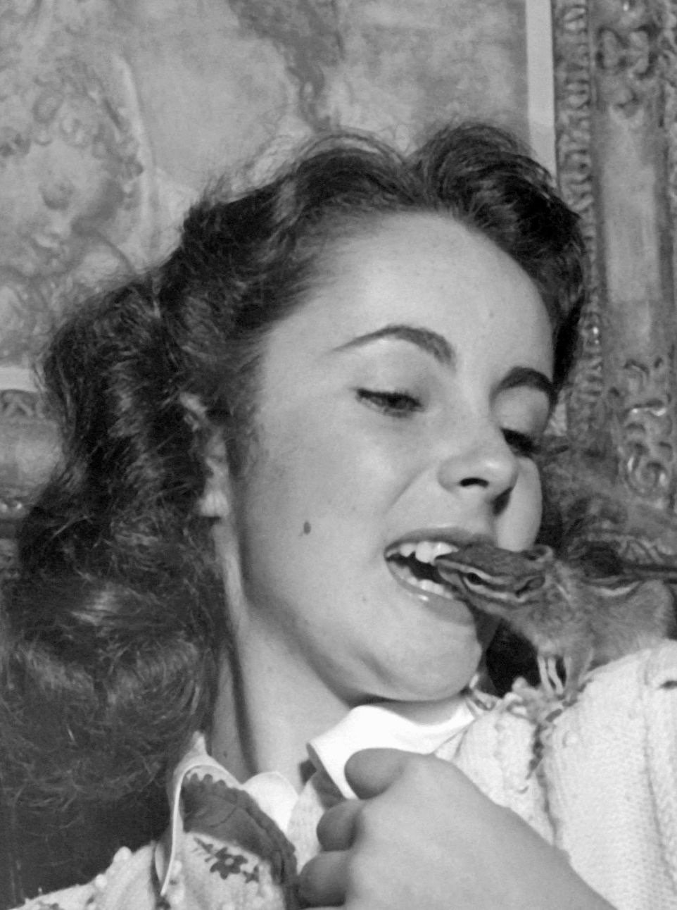 Elizabeth Taylor - 高清图片，堆糖，美图壁纸兴趣社区