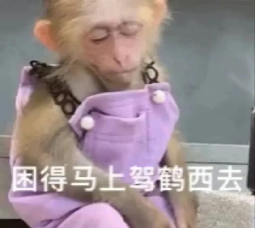 吗喽表情包 高清图片，堆糖，美图壁纸兴趣社区