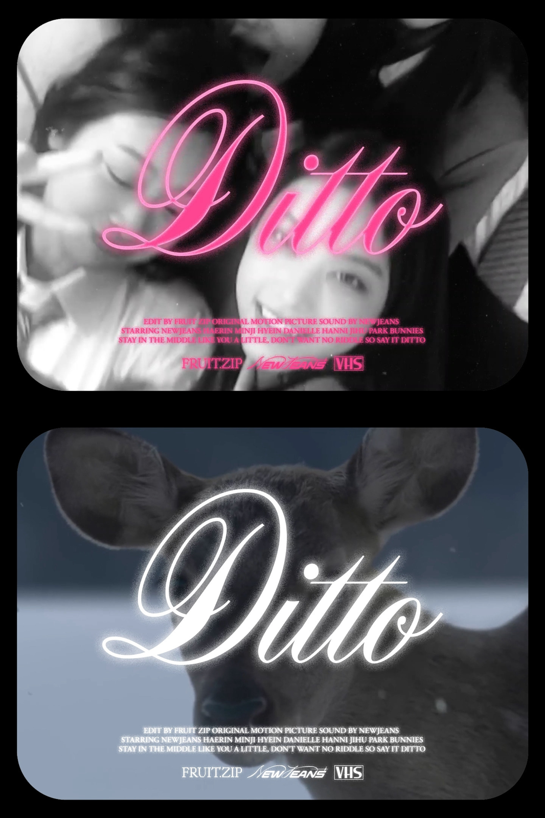 ditto - 高清图片，堆糖，美图壁纸兴趣社区