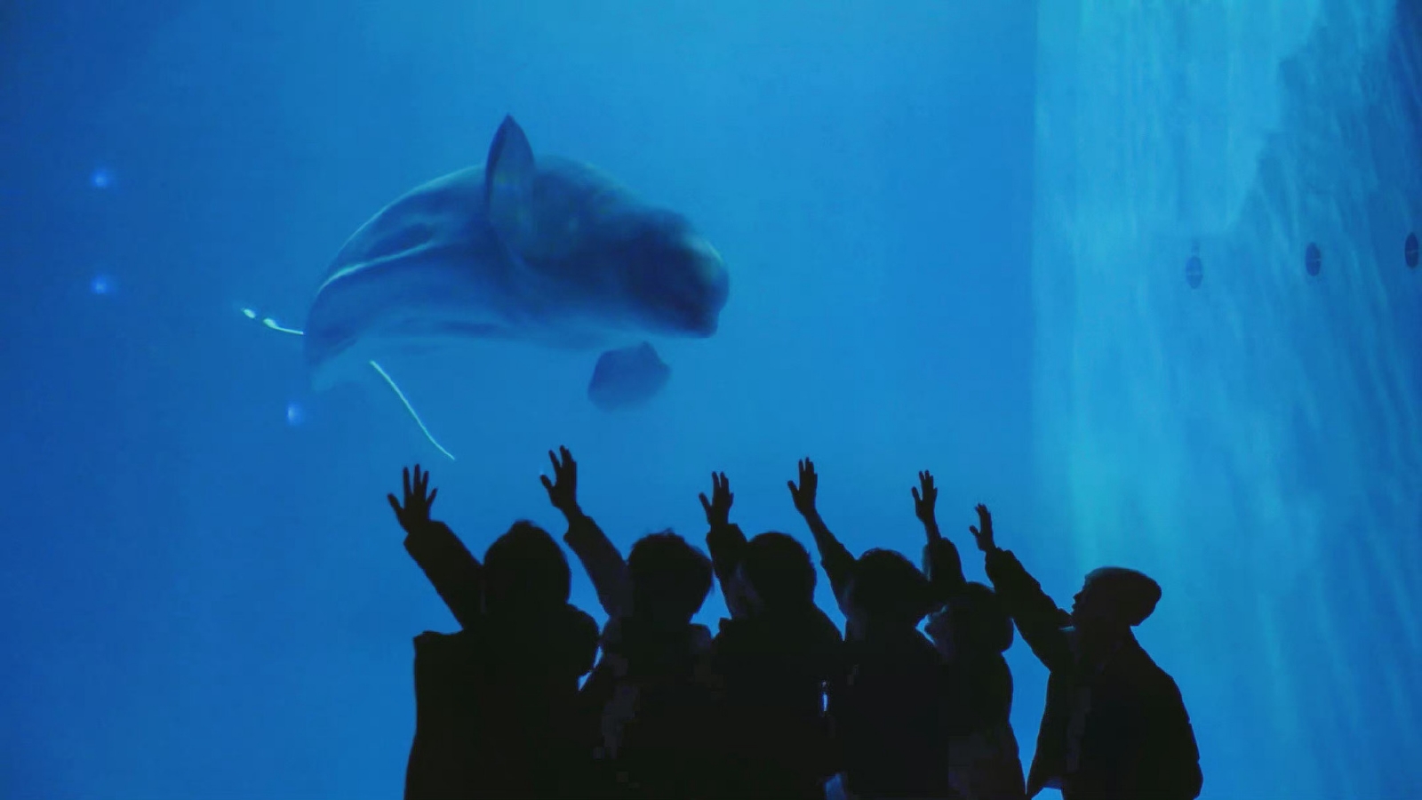 0713 - 高清图片，堆糖，美图壁纸兴趣社区