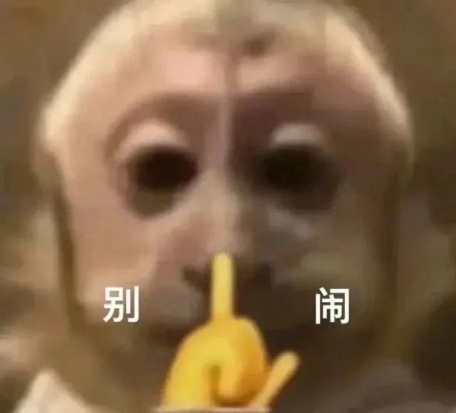 吗喽哈哈哈 高清图片,堆糖,美图壁纸兴趣社区