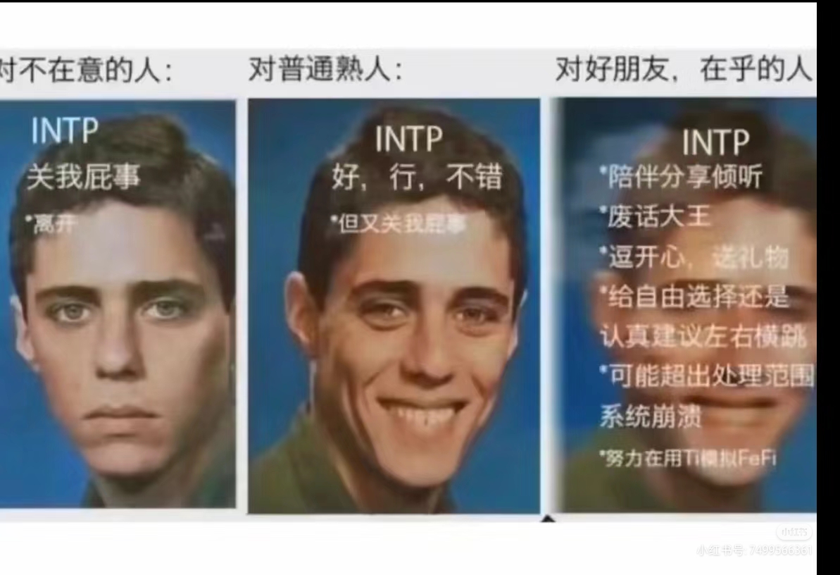 intp meme图 - 高清图片，堆糖，美图壁纸兴趣社区
