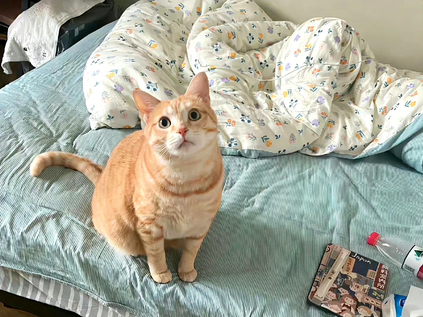 iPad电脑壁纸·ins - 高清图片，堆糖，美图壁纸兴趣社区