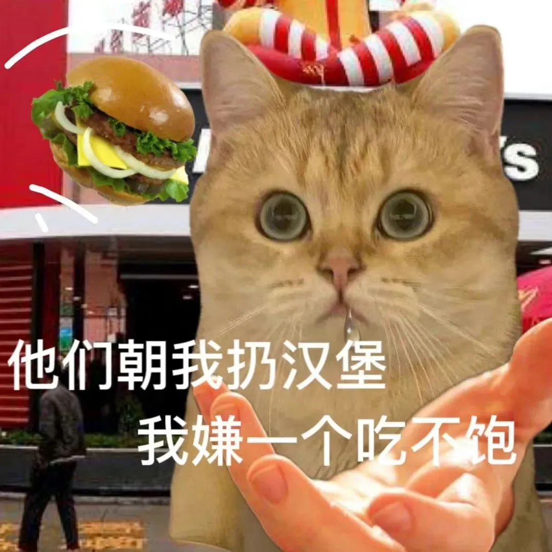 猫猫表情包 - 高清图片，堆糖，美图壁纸兴趣社区