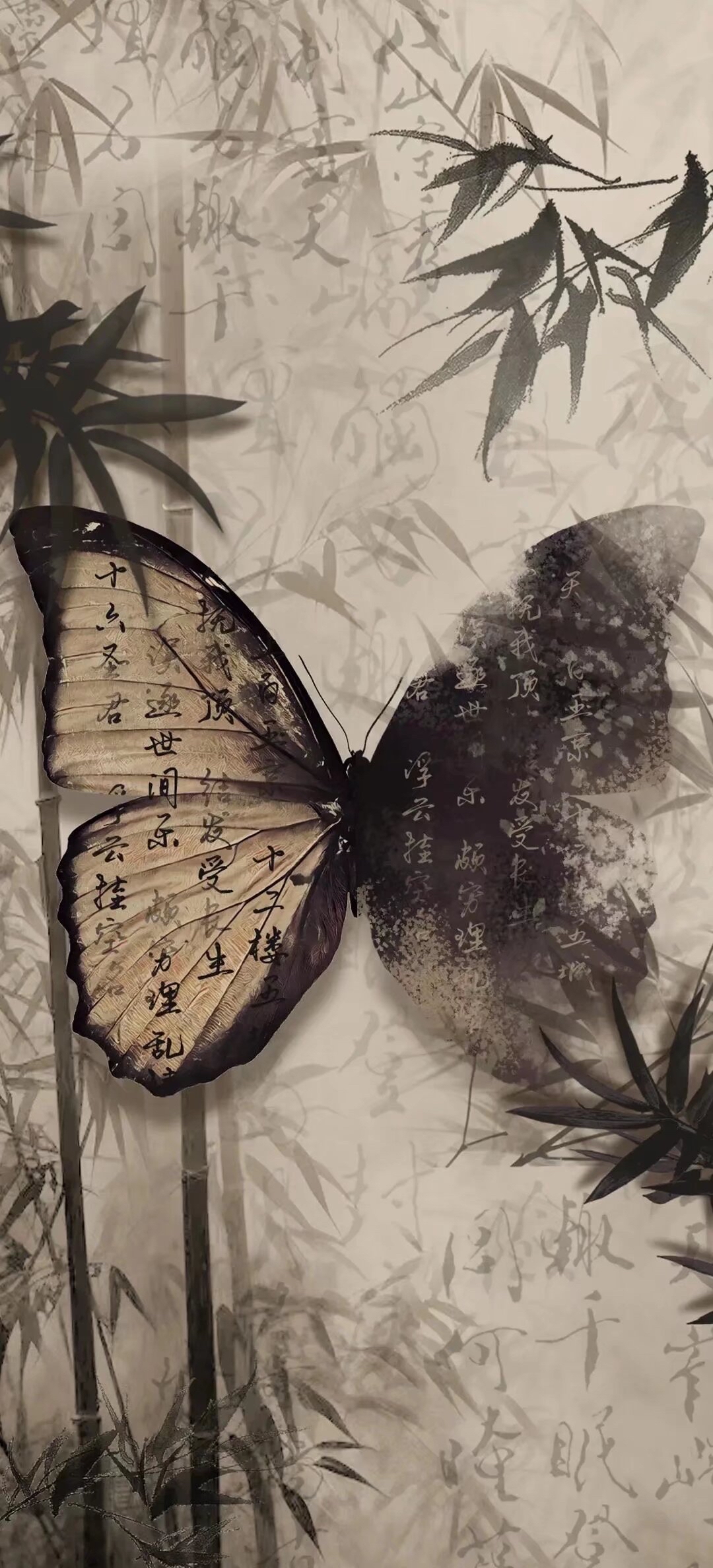 头像和壁纸 - 高清图片，堆糖，美图壁纸兴趣社区