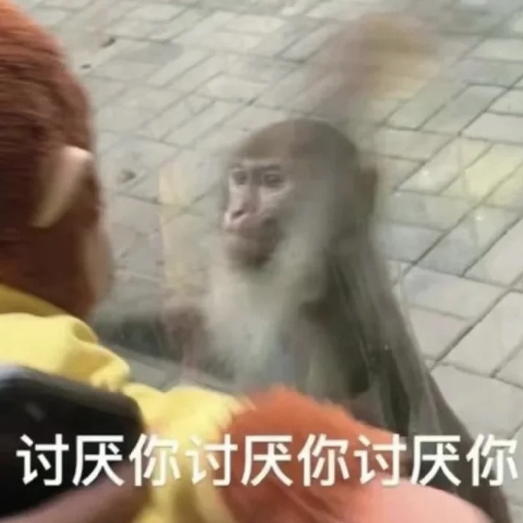 吗喽表情包 高清图片，堆糖，美图壁纸兴趣社区