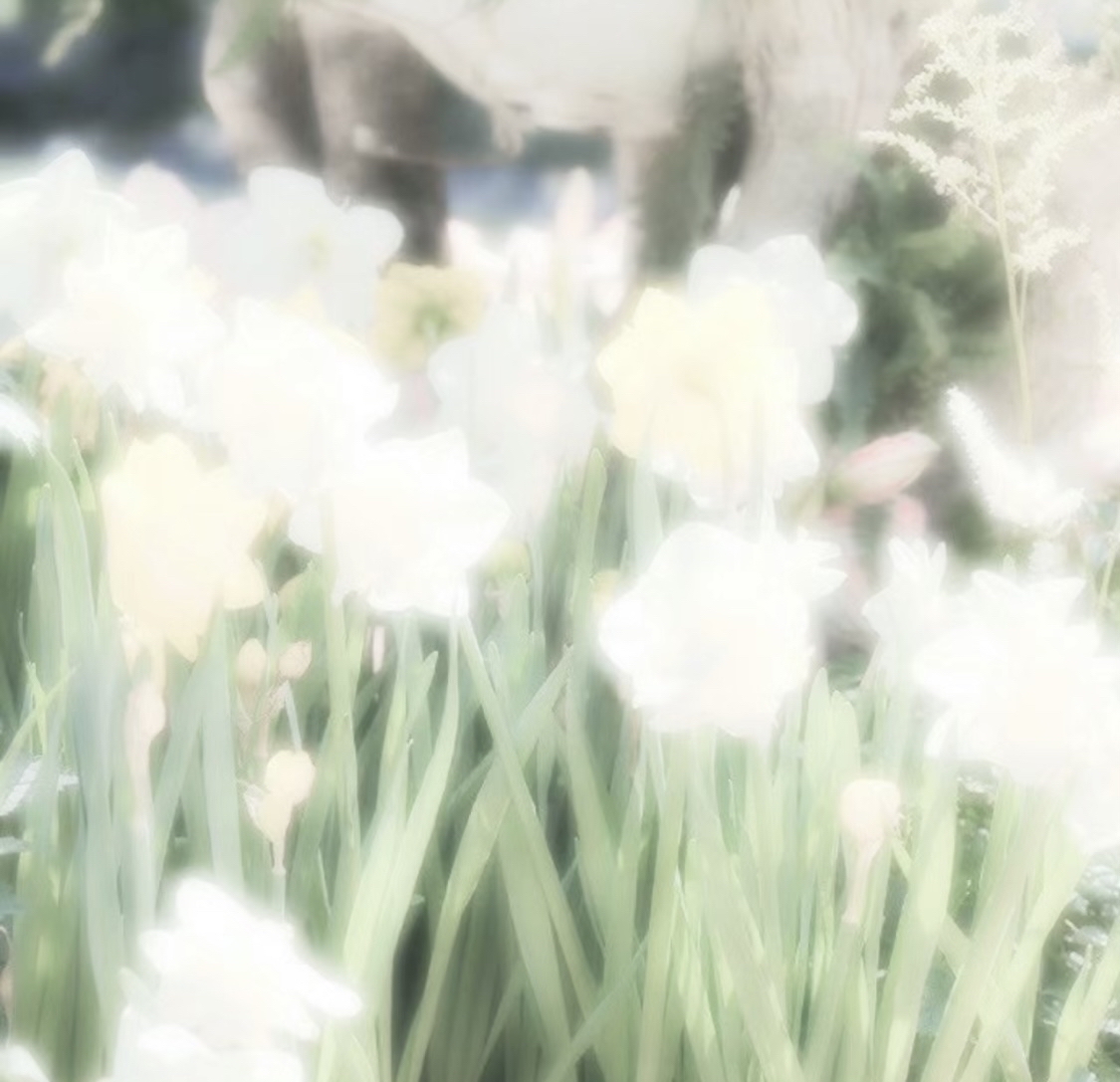 SF8:白色乌鸦…Rêve virtuel et réalité - 高清图片，堆糖，美图壁纸兴趣社区