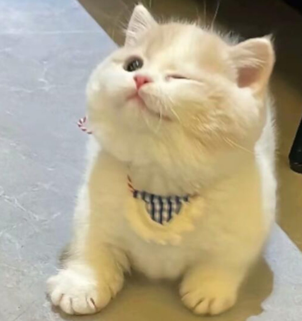 高清图片，堆糖，美图壁纸兴趣社区