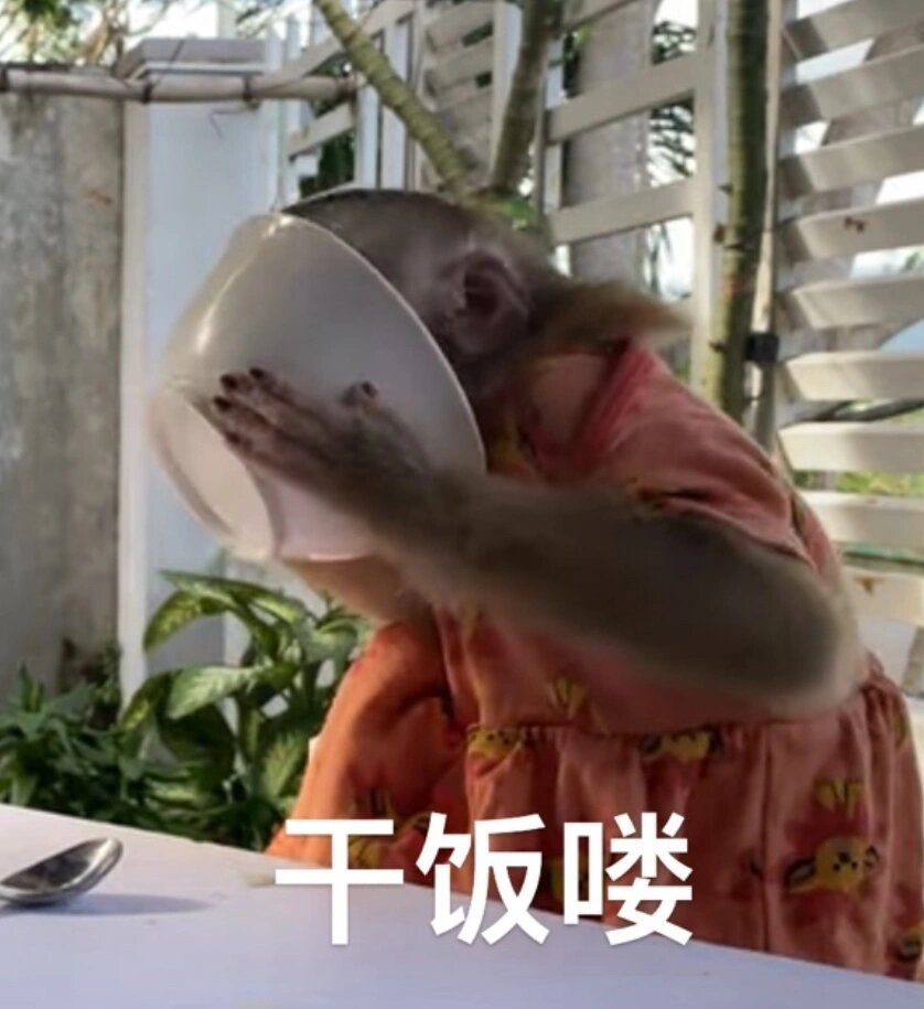 吗喽表情包 高清图片,堆糖,美图壁纸兴趣社区