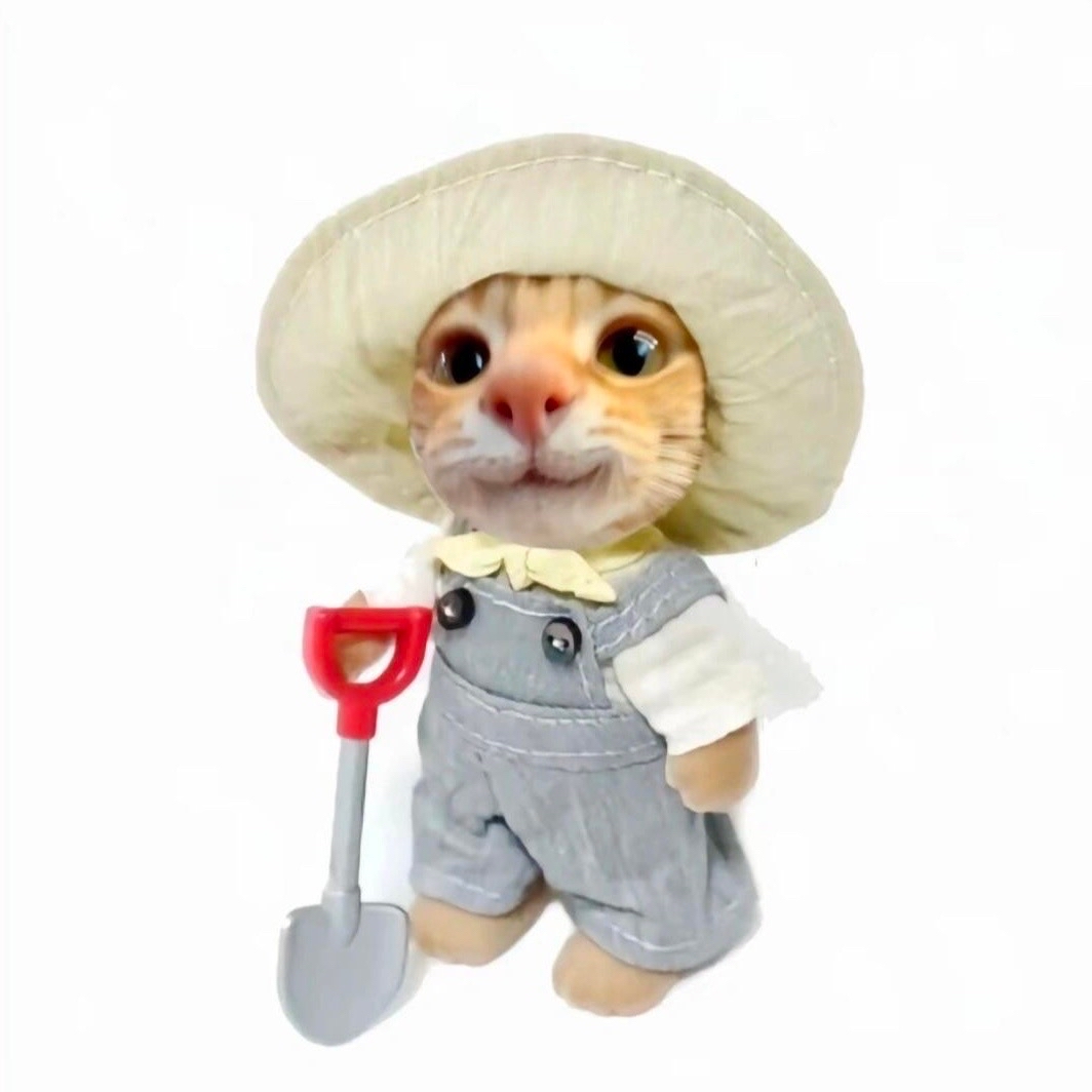 7788 - 高清图片，堆糖，美图壁纸兴趣社区