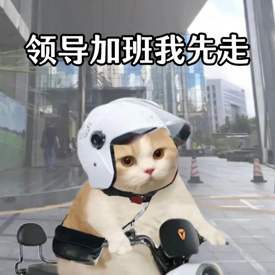 猫猫表情包 - 高清图片，堆糖，美图壁纸兴趣社区