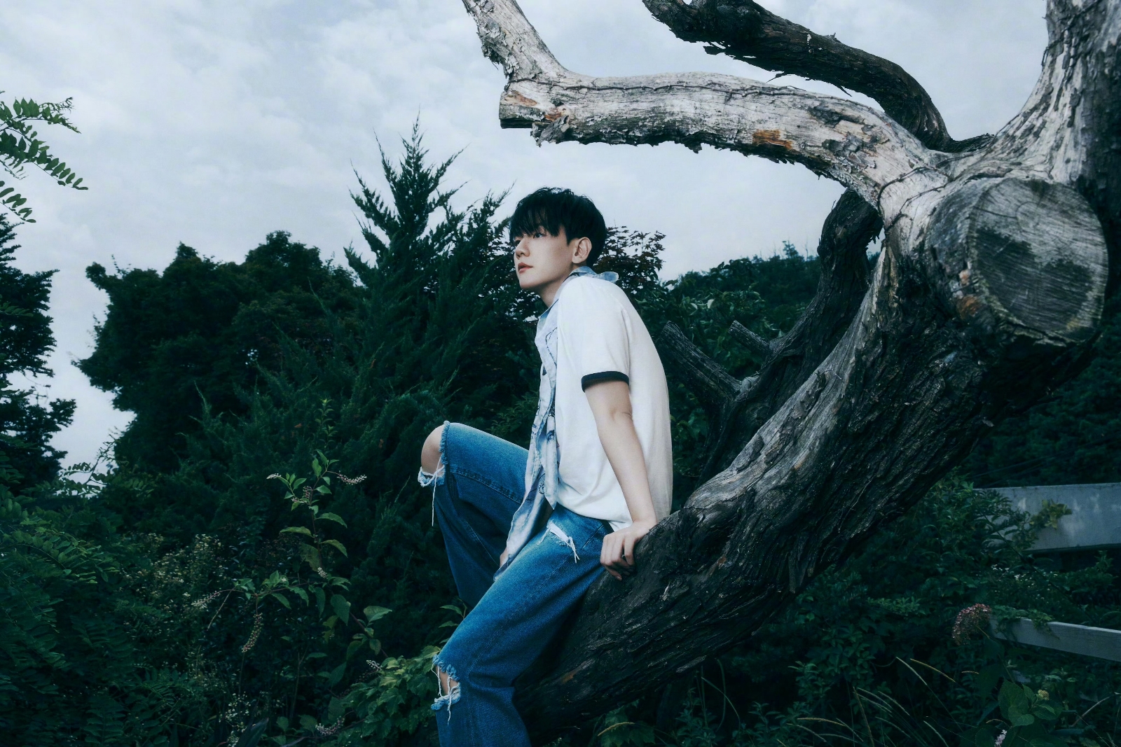 240821 BAEKHYUN_INB100 推特 更新 伯… - 高清图片，堆糖，美图壁纸兴趣社区