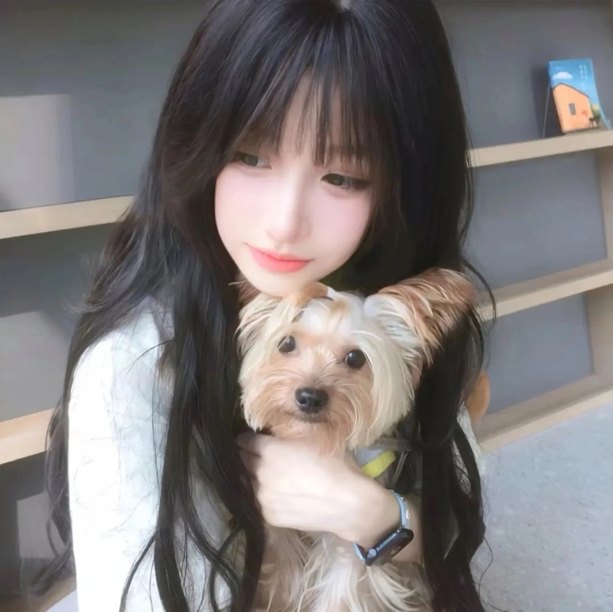 dt kc - 高清图片，堆糖，美图壁纸兴趣社区