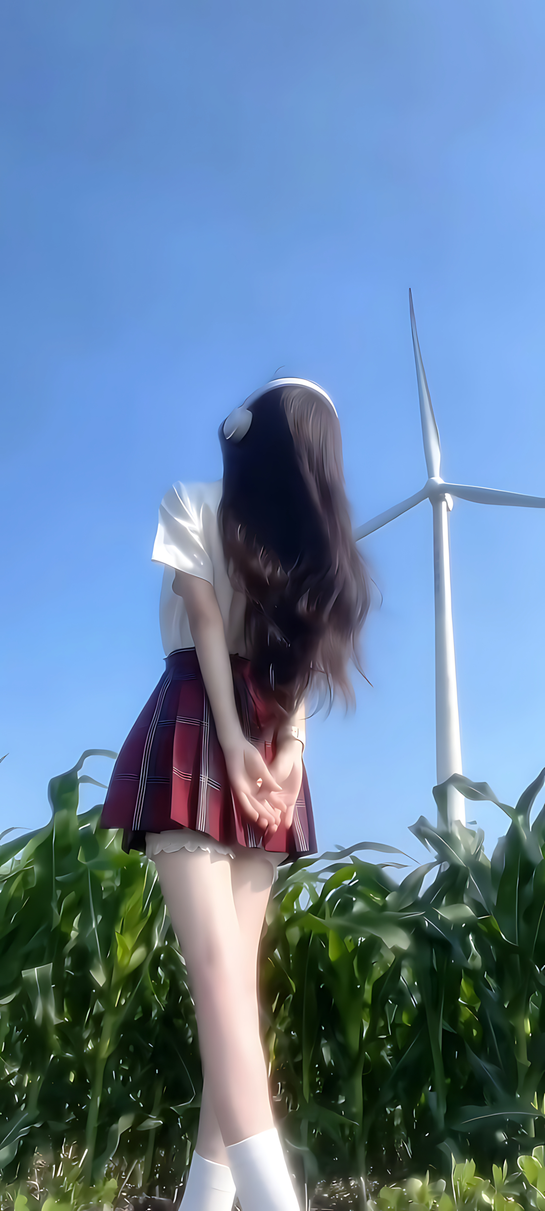 高清壁纸 - 高清图片，堆糖，美图壁纸兴趣社区