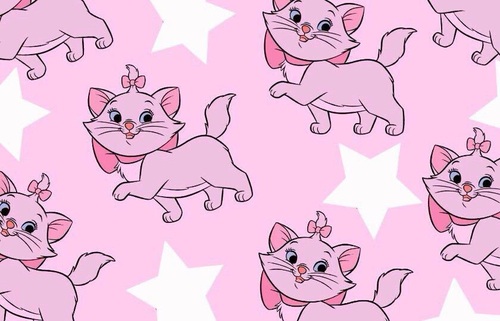 Marie cat - 堆糖，美图壁纸兴趣社区