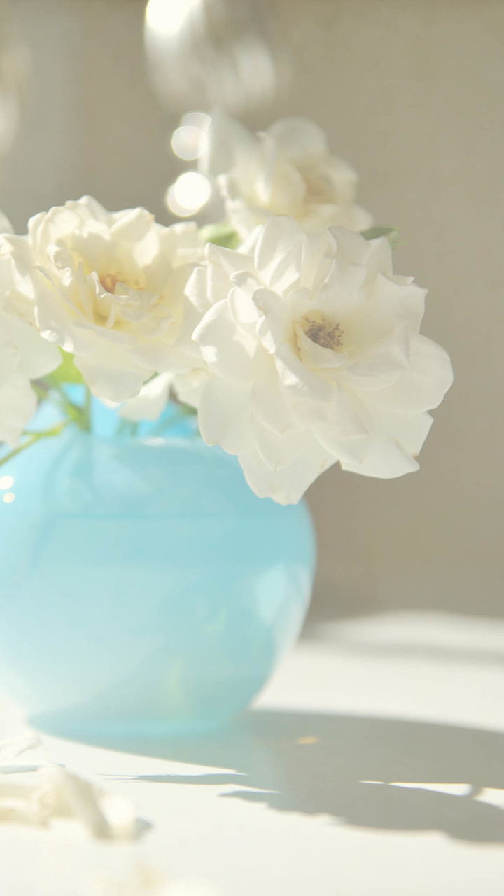 手机壁纸 花系列 - 高清图片，堆糖，美图壁纸兴趣社区