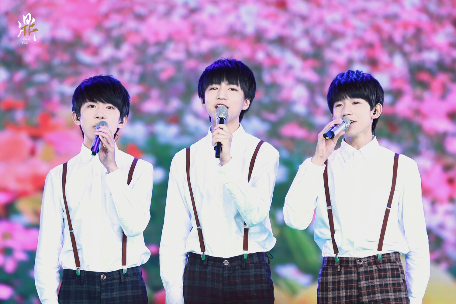 TFBOYS - 堆糖，美图壁纸兴趣社区