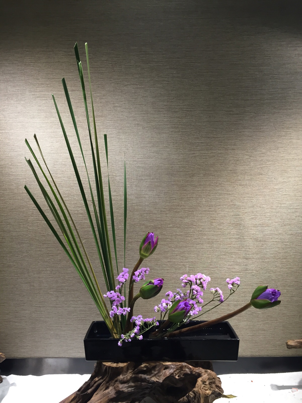 1122 - 高清图片，堆糖，美图壁纸兴趣社区