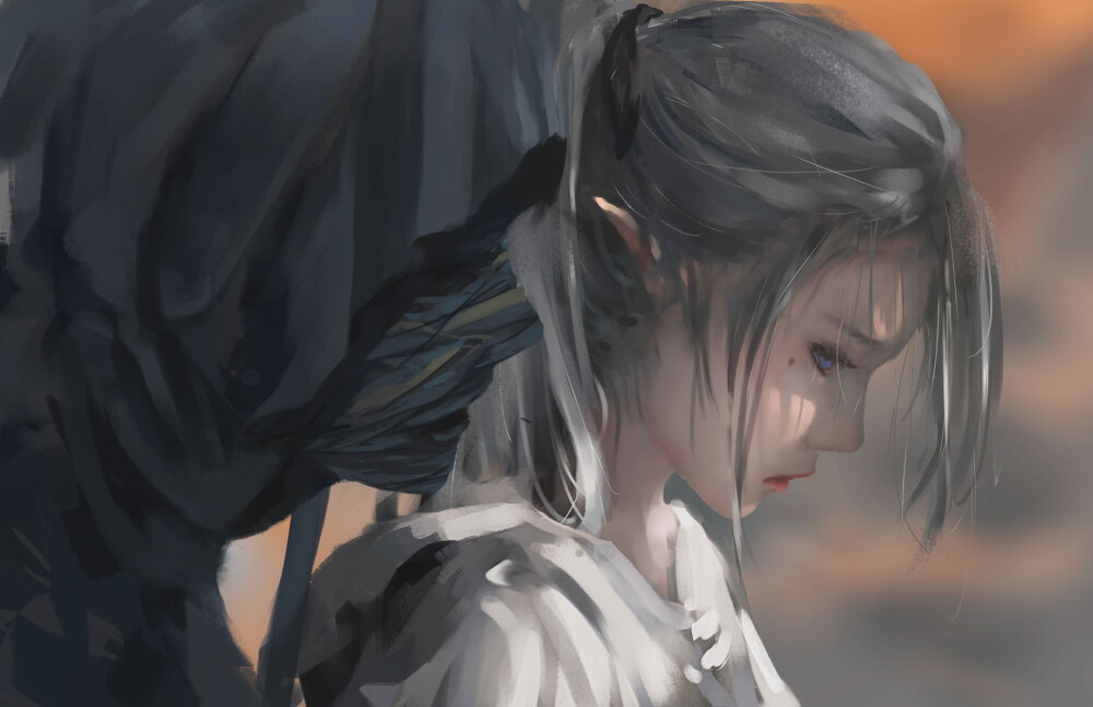 wlop - 堆糖，美图壁纸兴趣社区