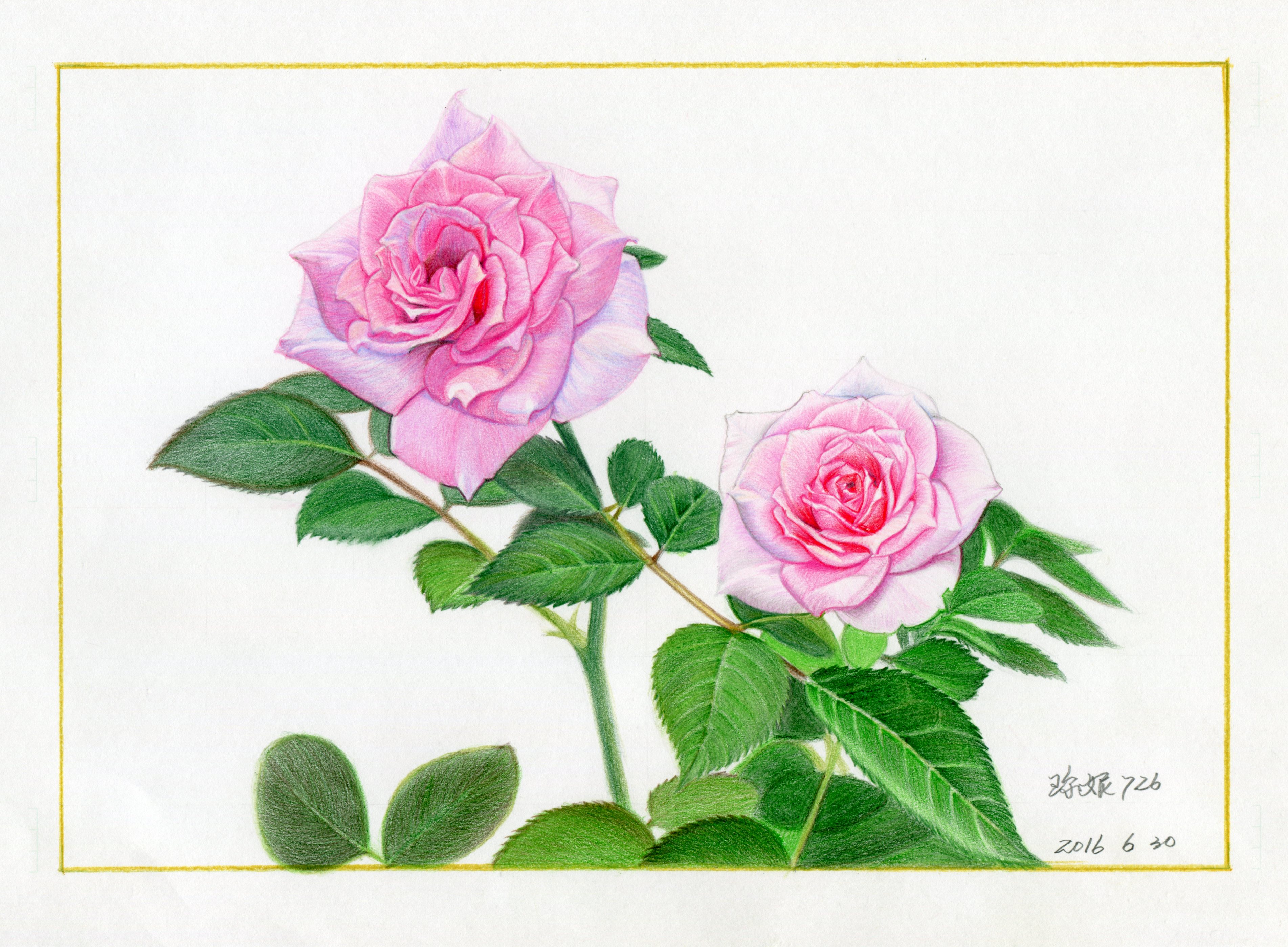 #珍妮726彩铅绘画#原创照片写生 - 高清图片，堆糖，美图壁纸兴趣社区