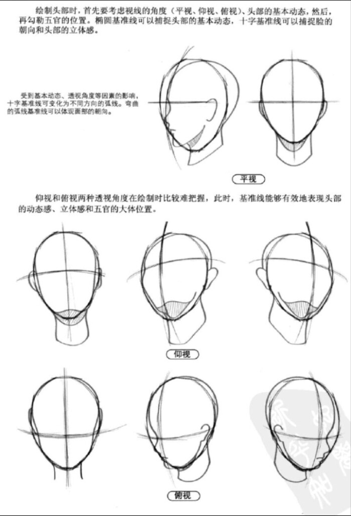 图转侵删动漫人物脸型比例画法,手绘吧-堆糖,美好生活研究所