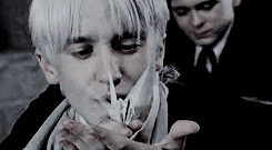 Draco - 堆糖，美图壁纸兴趣社区