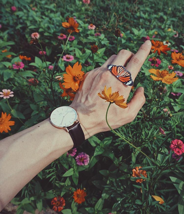 DW - 高清图片，堆糖，美图壁纸兴趣社区