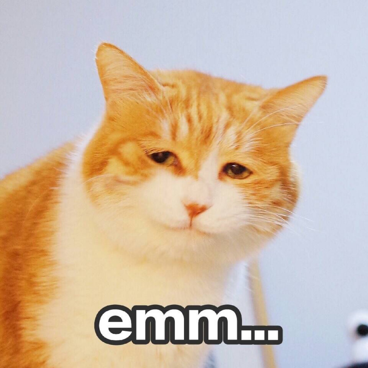 表情包 emm... - 高清图片，堆糖，美图壁纸兴趣社区