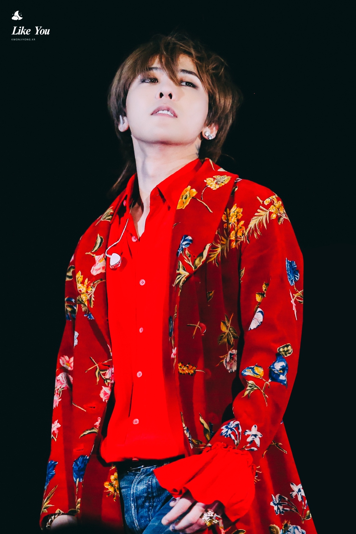 GD - 高清图片，堆糖，美图壁纸兴趣社区