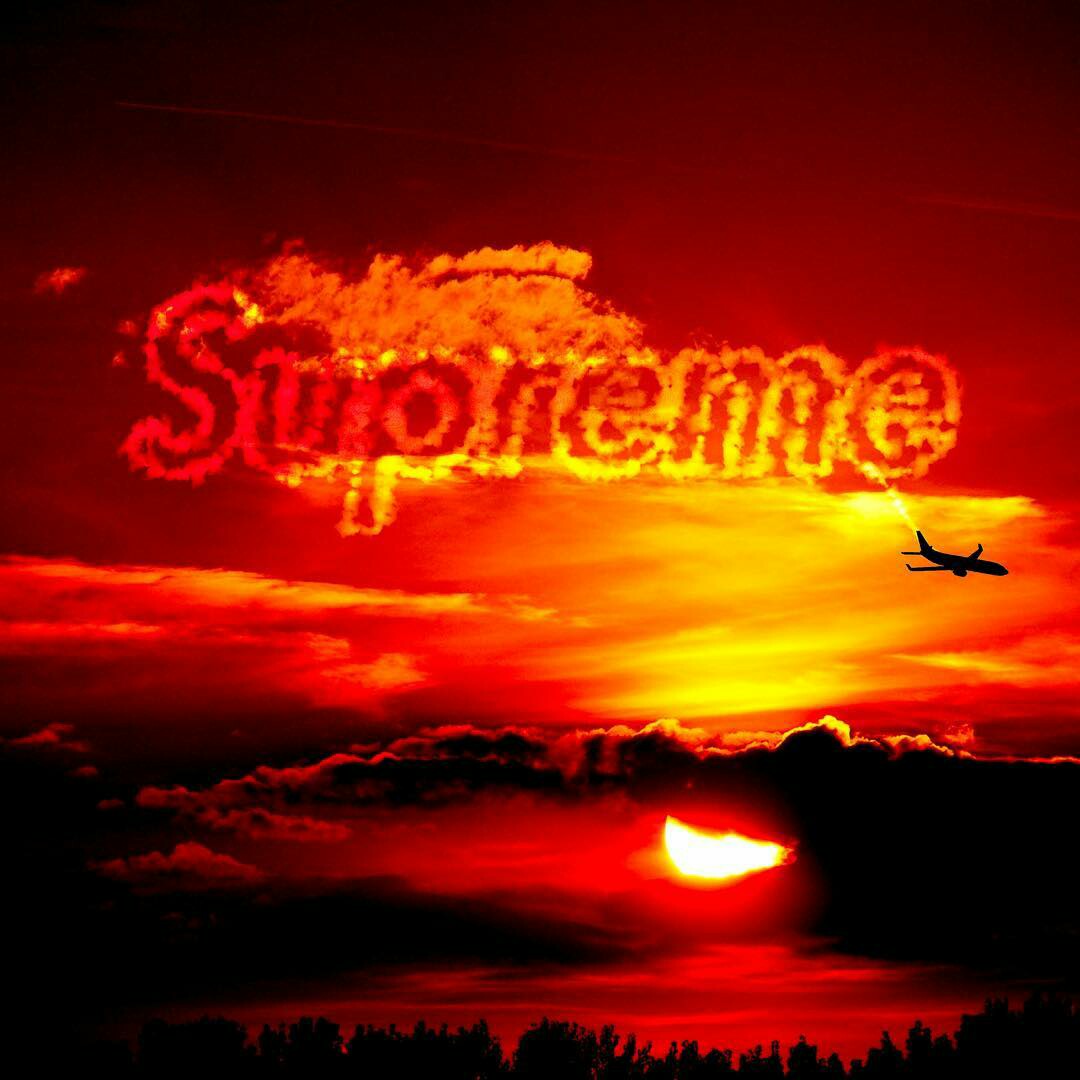 Pidan｜Supreme - 高清图片，堆糖，美图壁纸兴趣社区