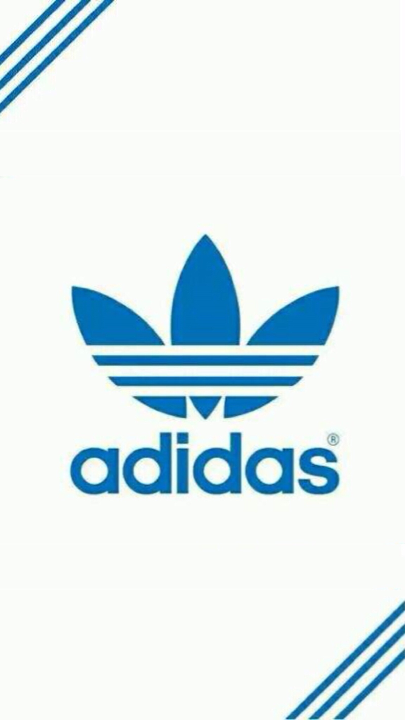 Pidan｜Adidas - 高清图片，堆糖，美图壁纸兴趣社区