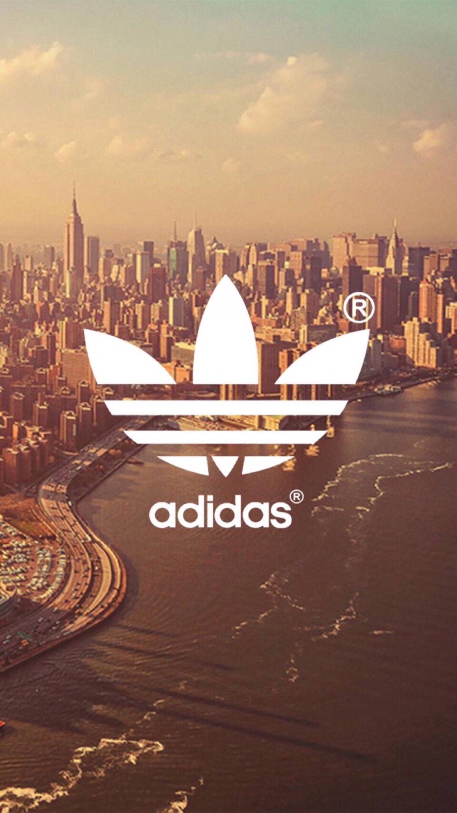 Pidan｜Adidas - 高清图片，堆糖，美图壁纸兴趣社区