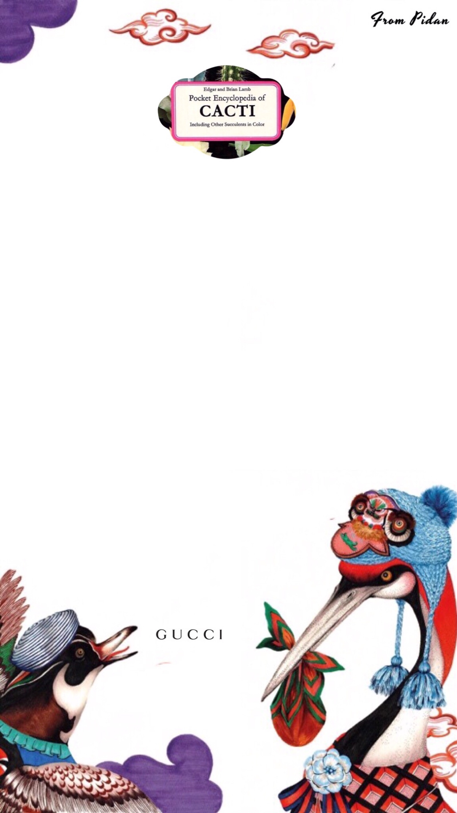 Pidan｜Gucci - 高清图片，堆糖，美图壁纸兴趣社区