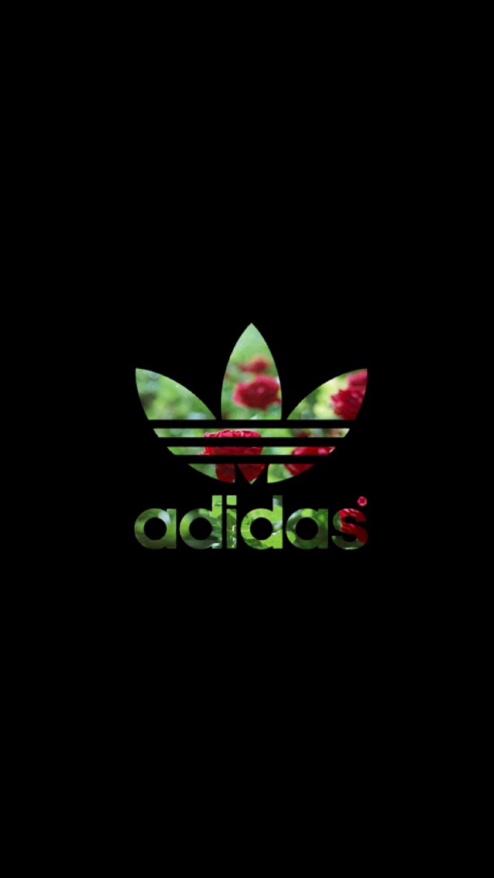 Pidan｜Adidas - 高清图片，堆糖，美图壁纸兴趣社区