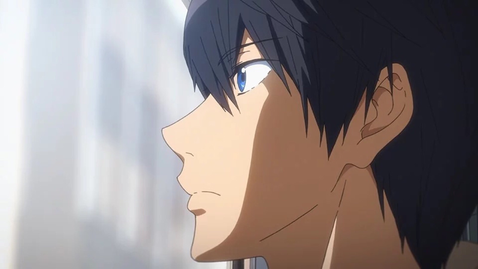 Free! Dive to the future! wowowo! - 高清图片，堆糖，美图壁纸兴趣社区