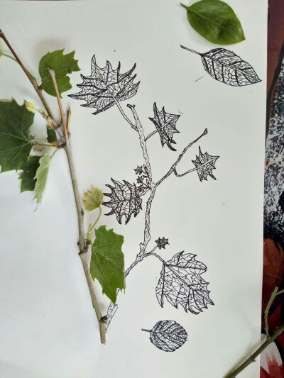 儿童画 堆糖,美图壁纸兴趣社区