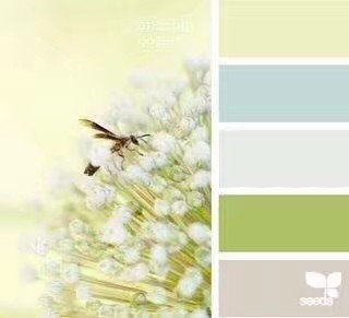 低饱和度配色 - 高清图片，堆糖，美图壁纸兴趣社区