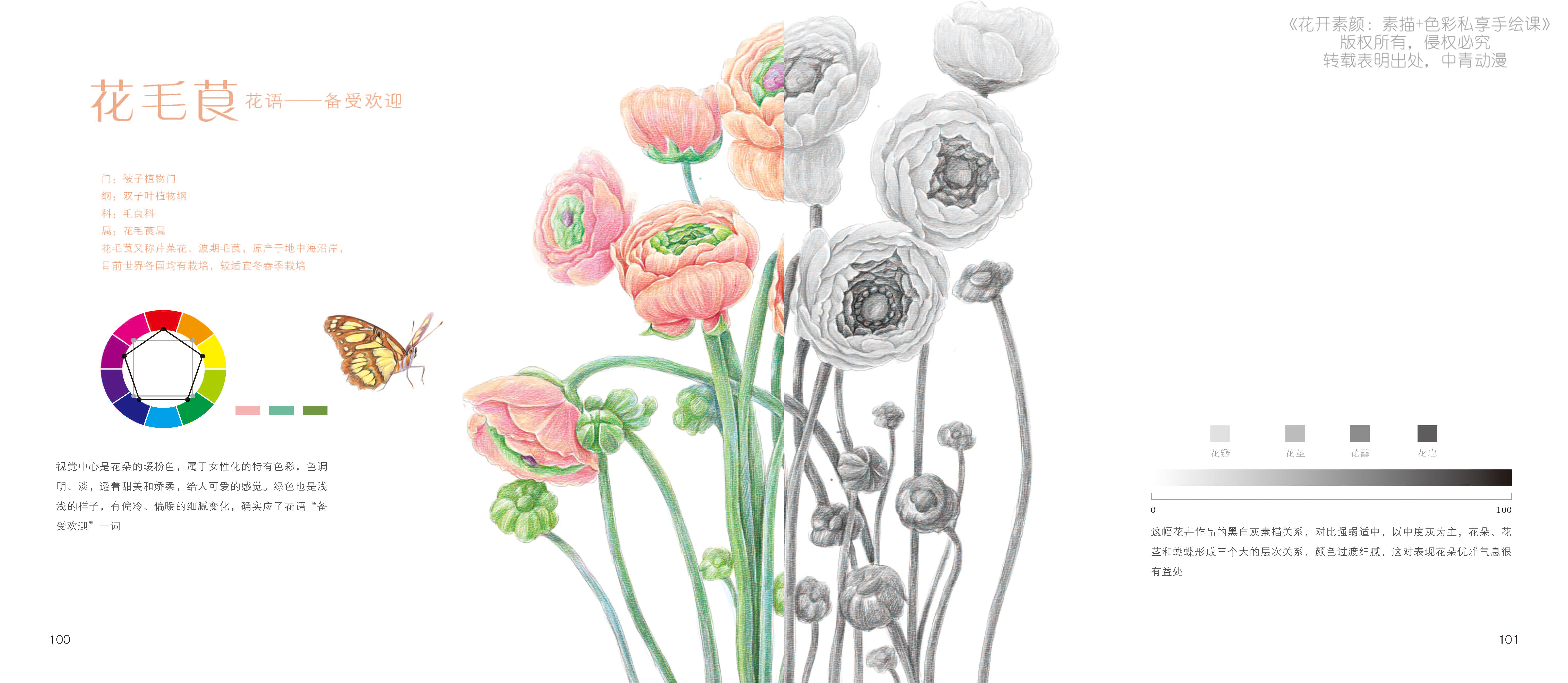 高精度笔触看得见，黑白+彩色，双倍体验，… - 高清图片，堆糖，美图壁纸兴趣社区