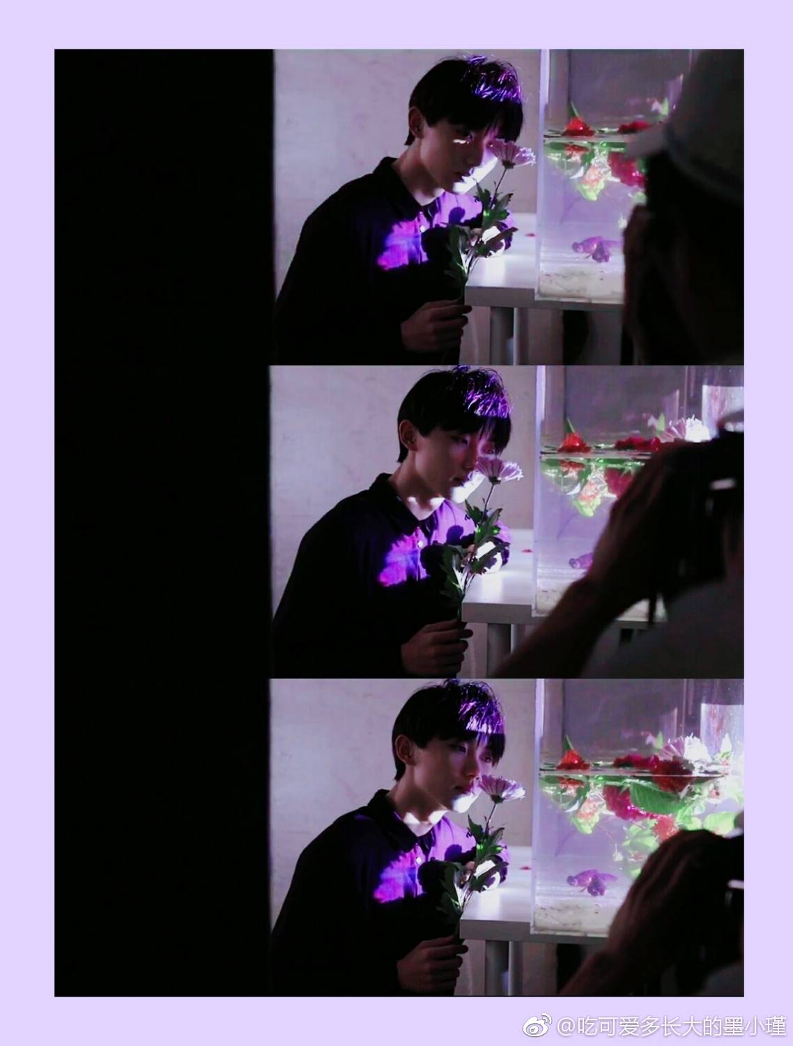 mjq - 高清图片，堆糖，美图壁纸兴趣社区