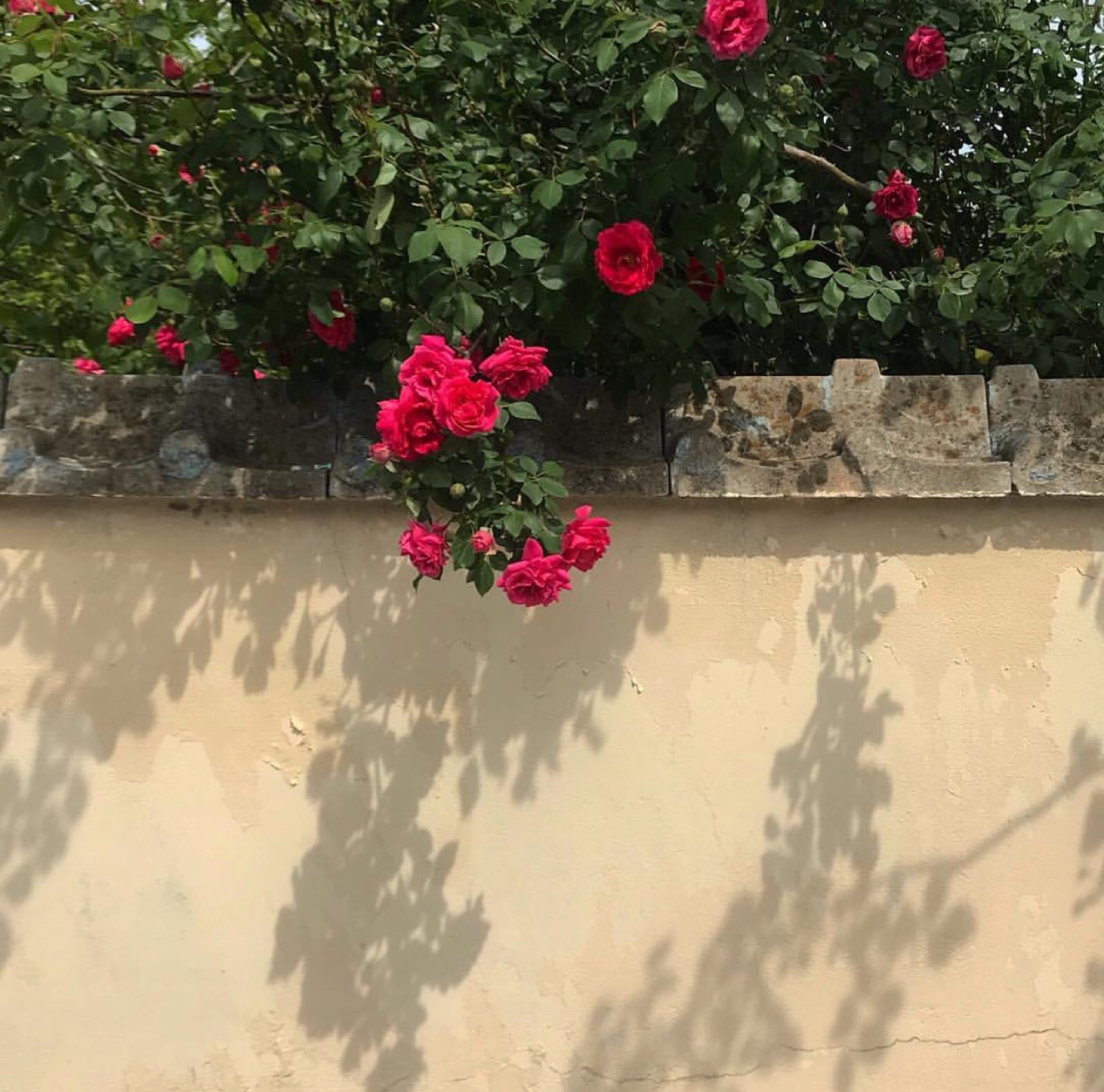 正方形 - 高清图片，堆糖，美图壁纸兴趣社区