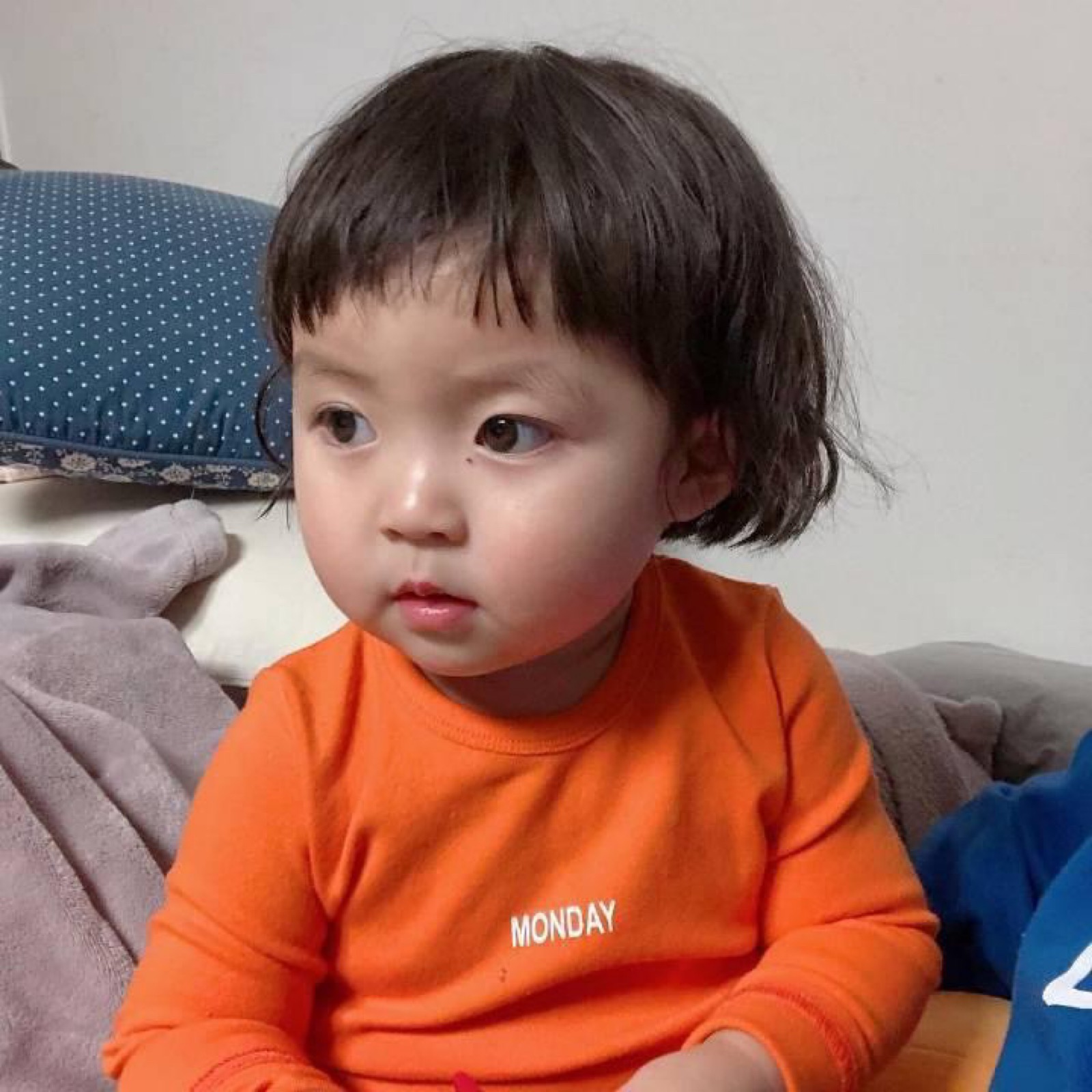 罗熙Rohee - 高清图片，堆糖，美图壁纸兴趣社区