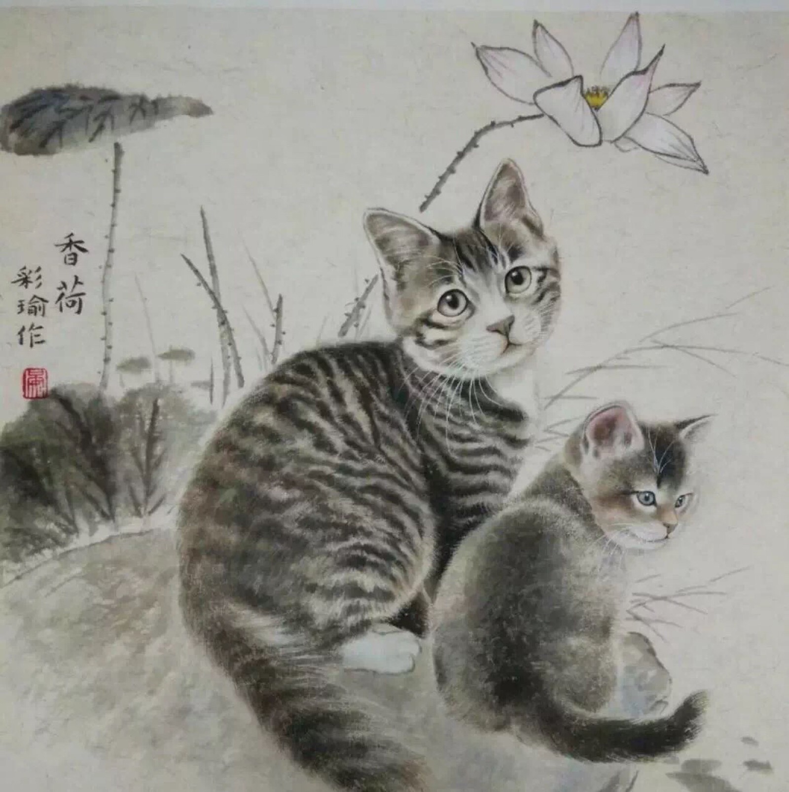 国画猫 - 高清图片，堆糖，美图壁纸兴趣社区