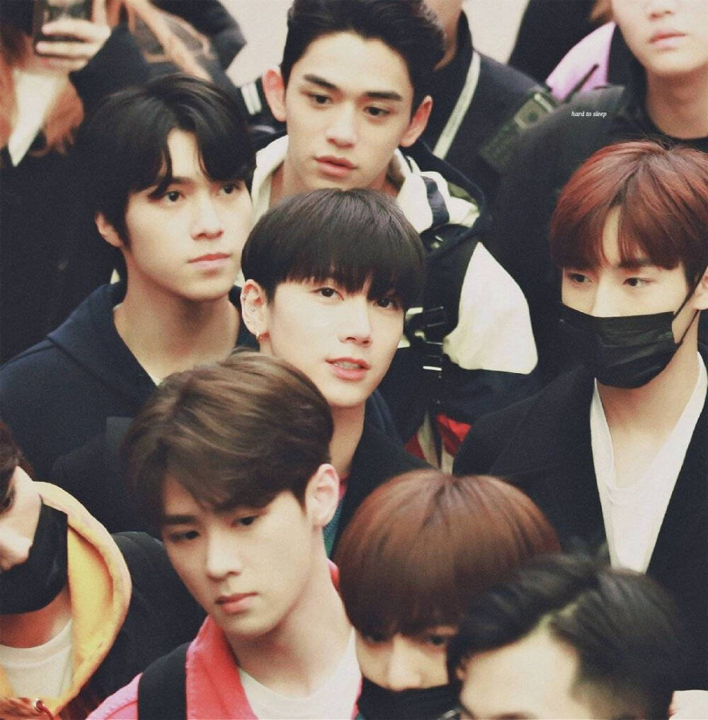 WayV - 堆糖，美图壁纸兴趣社区