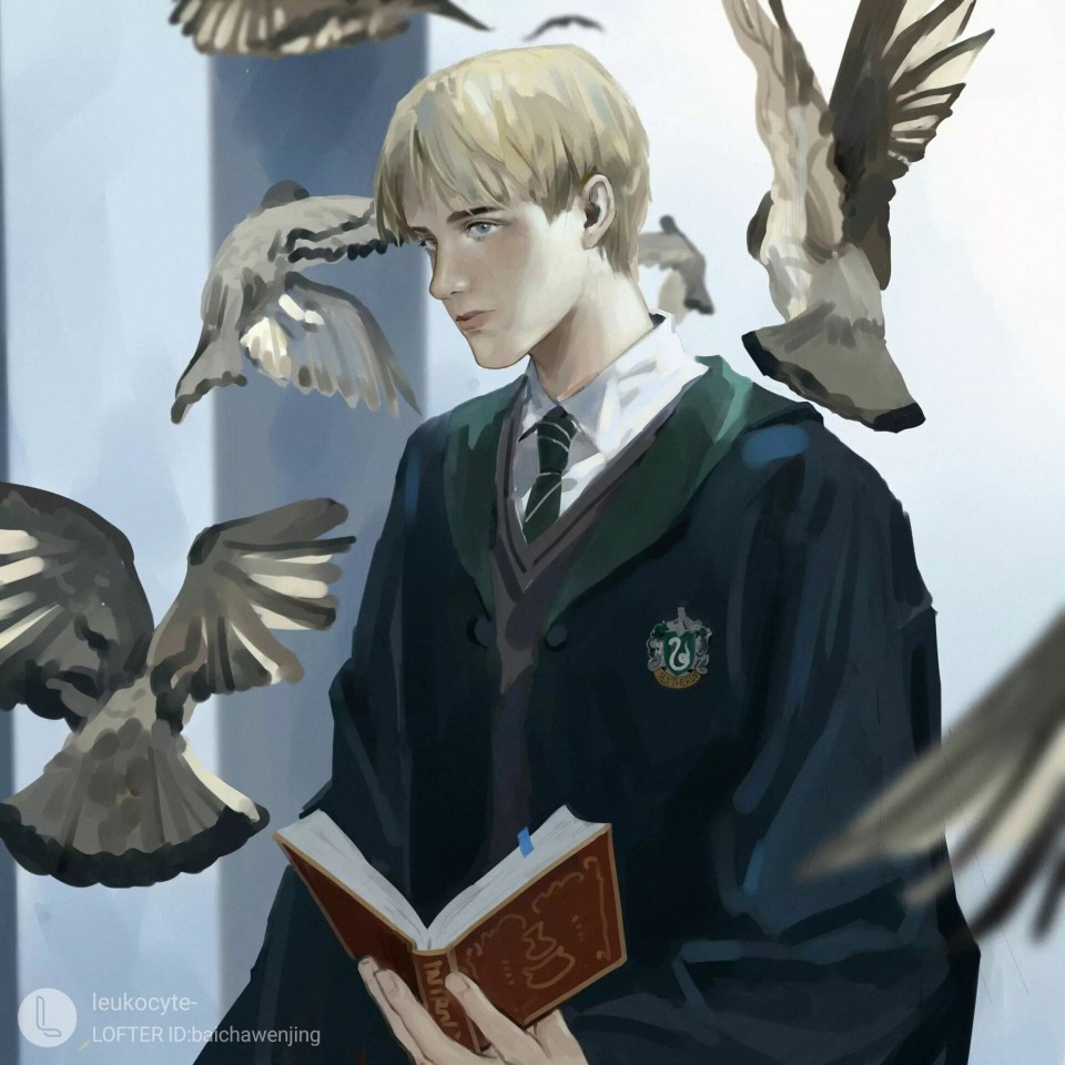 Draco - 堆糖，美图壁纸兴趣社区