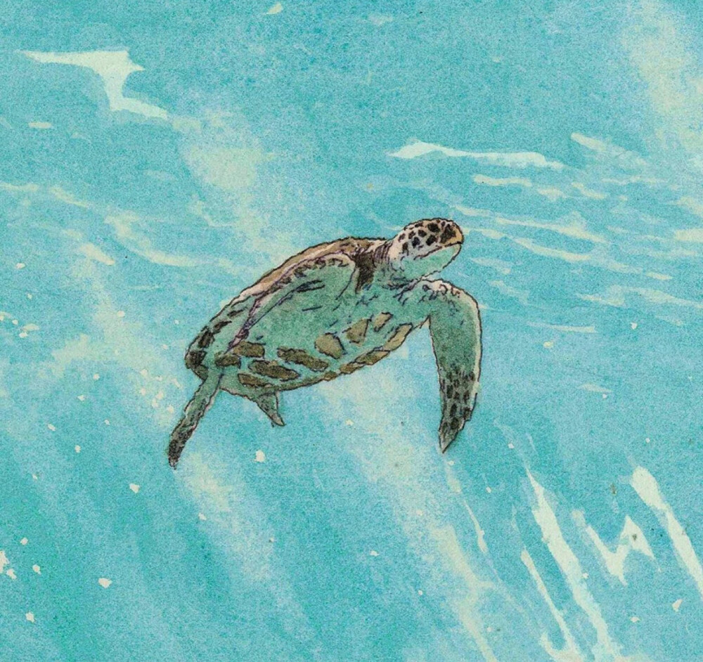 画师：sseongryul - 堆糖，美图壁纸兴趣社区