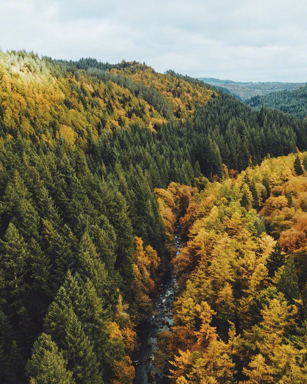 A U T U M N - 高清图片，堆糖，美图壁纸兴趣社区