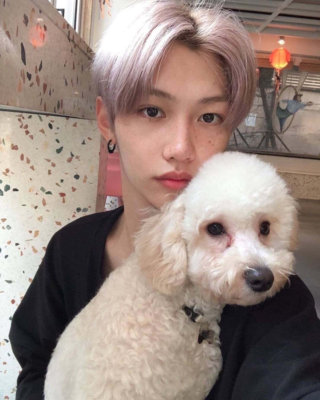 Felix - 高清图片，堆糖，美图壁纸兴趣社区