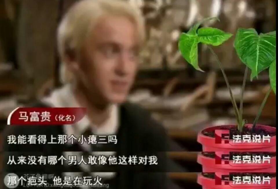 哈利波特表情包 堆糖，美图壁纸兴趣社区