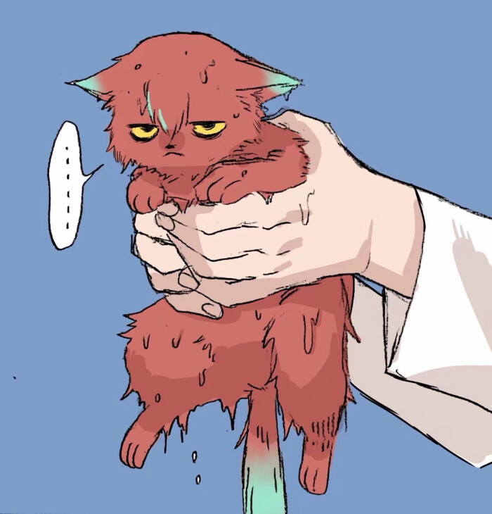 drb - 堆糖，美图壁纸兴趣社区